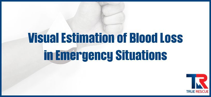 Visual Estimation of Blood Loss After Physical Trauma