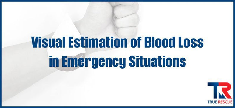 Visual Estimation of Blood Loss After Physical Trauma